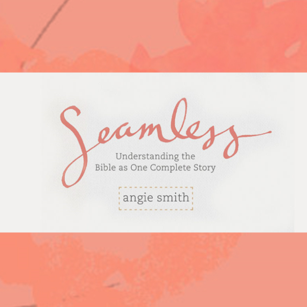 Seamless Study – First Baptist Church – Medford, WI