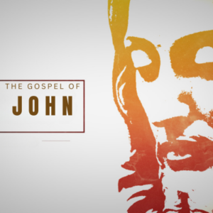 Gospel of John: The Glory of God in Perfect Timing | 12:9-36 – First ...